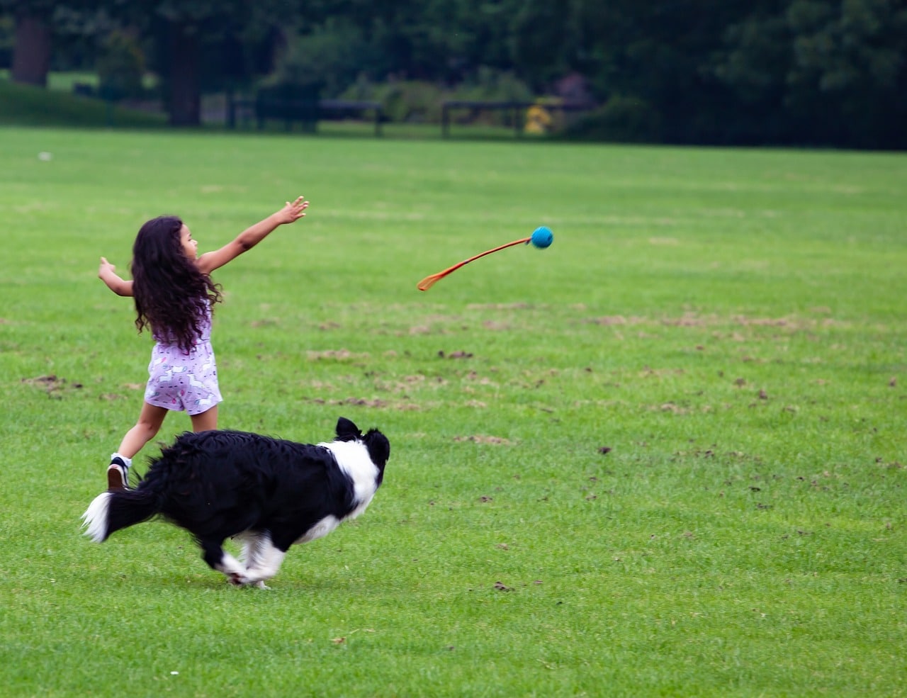 10 Razas de Perros Ideales para Familias con Niños - Cuidados para tu ...